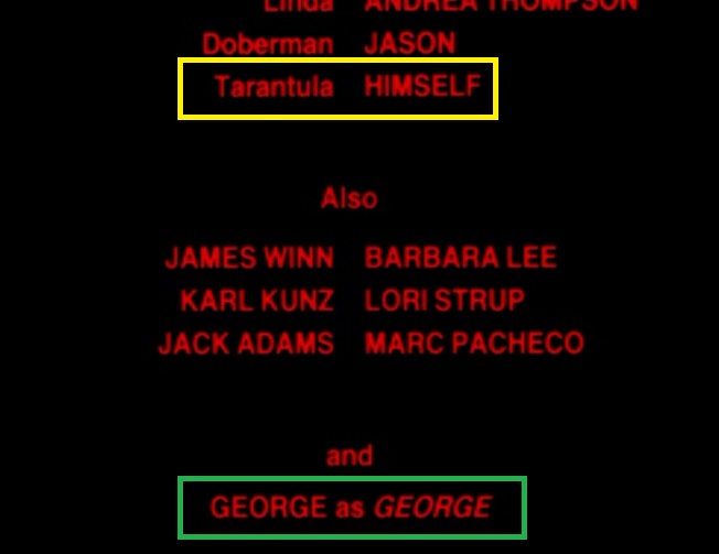 Nightmare Weekend (1985)