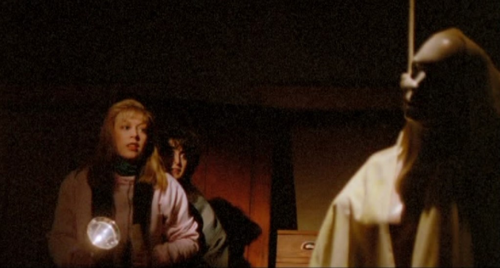 Blood Sisters (1987)
