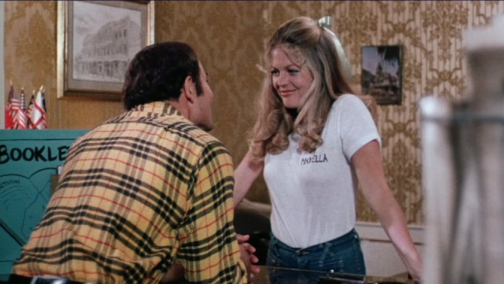 Moonshine County Express (1977)