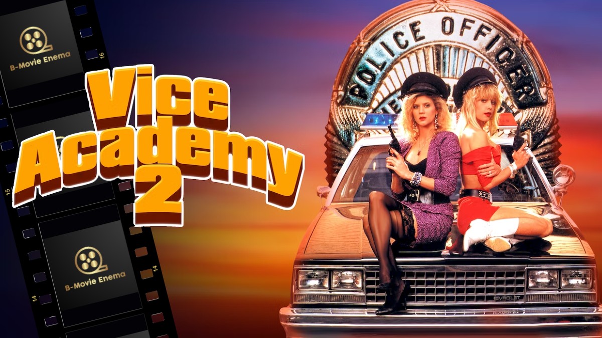 Vice Academy Part 2 (1990)