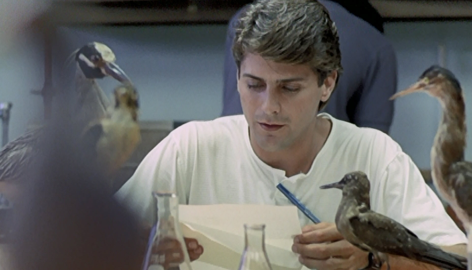 Zombie 5: Killing Birds (1988)