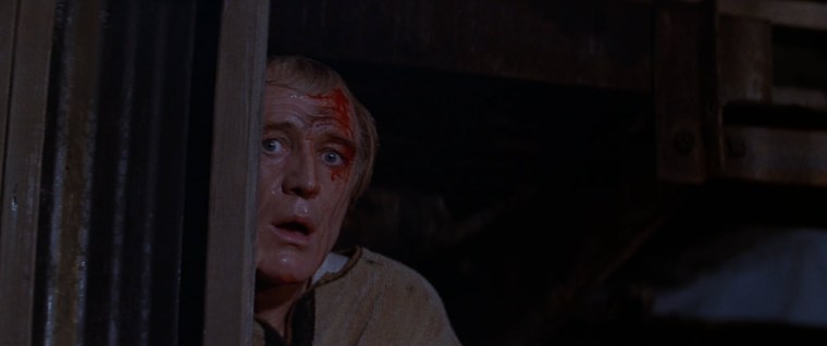 Ravagers (1979)