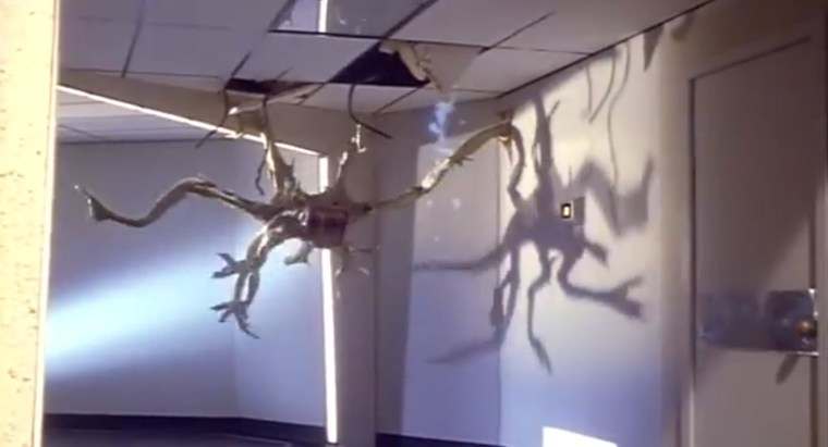 Metamorphosis: The Alien Factor (a.k.a. The Deadly Spawn II, 1990)