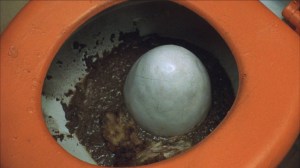 Poultrygeist: Night of the Chicken Dead (2006)